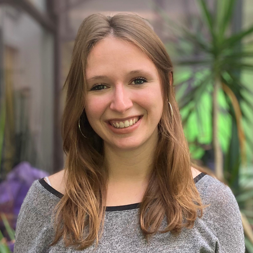 Contact - Arte Education